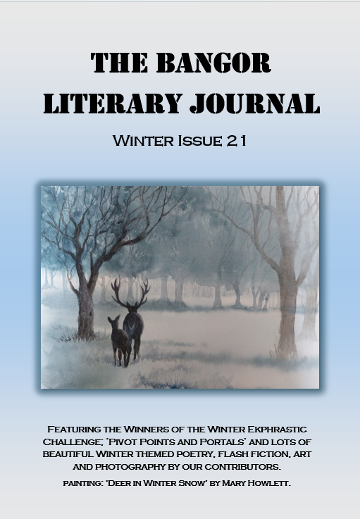 Winter Issue 21 of The Bangor Literary Journal Launching on Christmas ...